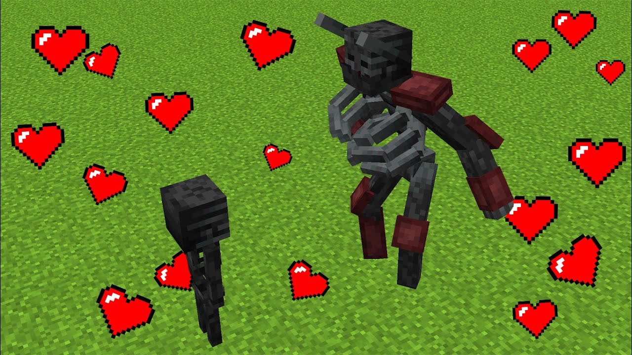 mutant wither skeleton ️ wither skeleton - YouTube