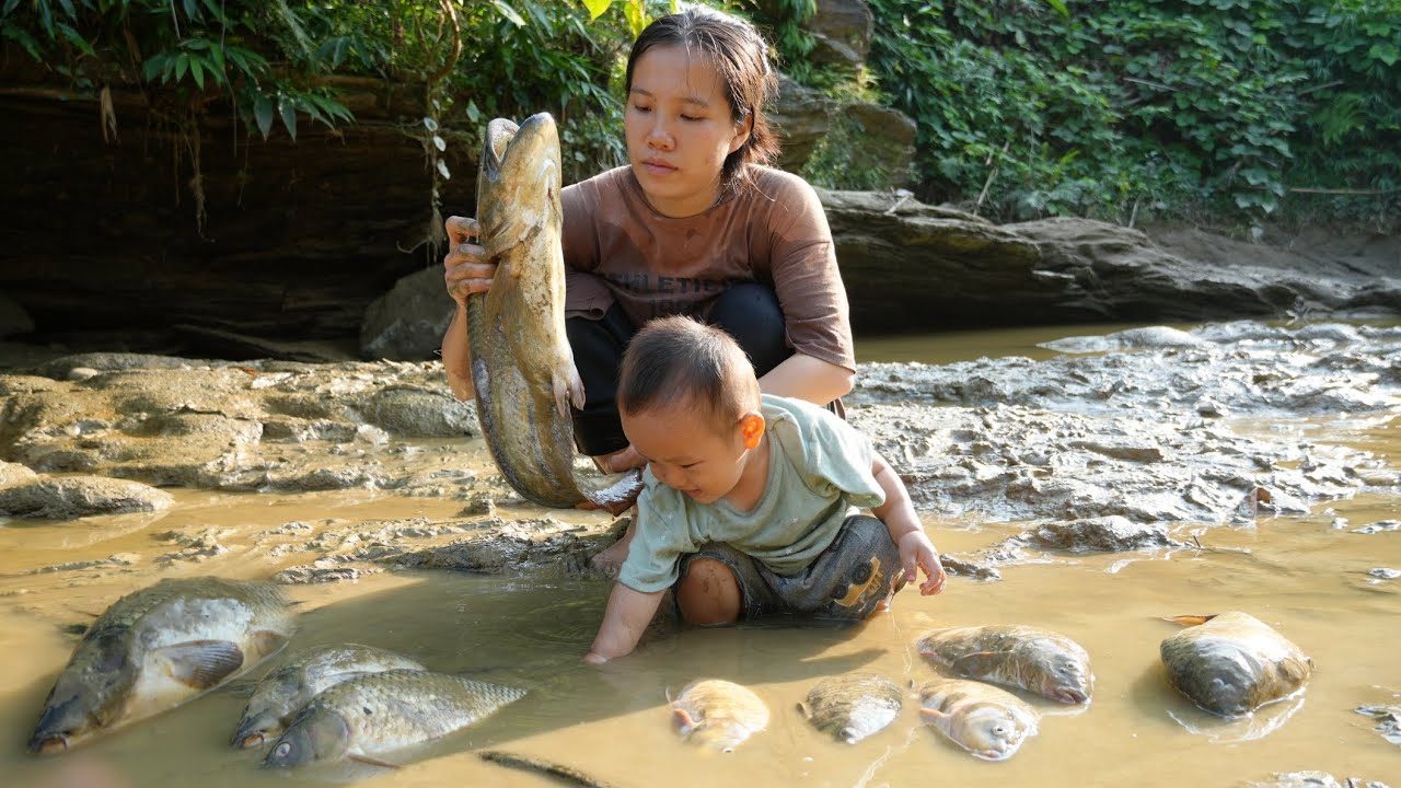 Full video of 4 episodes: Single mother and baby go catch fish, trap ...