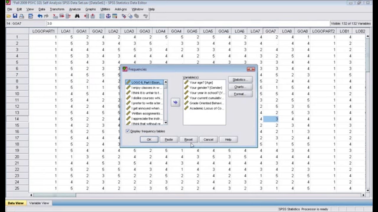SPSS Descriptive Statistics - YouTube