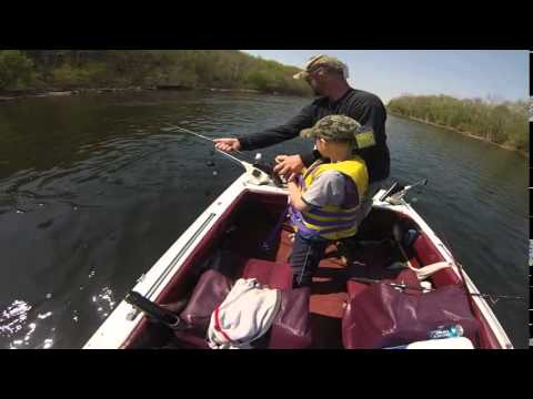 2015 Delaware River Shad Fishing - Mason's First Shad - YouTube