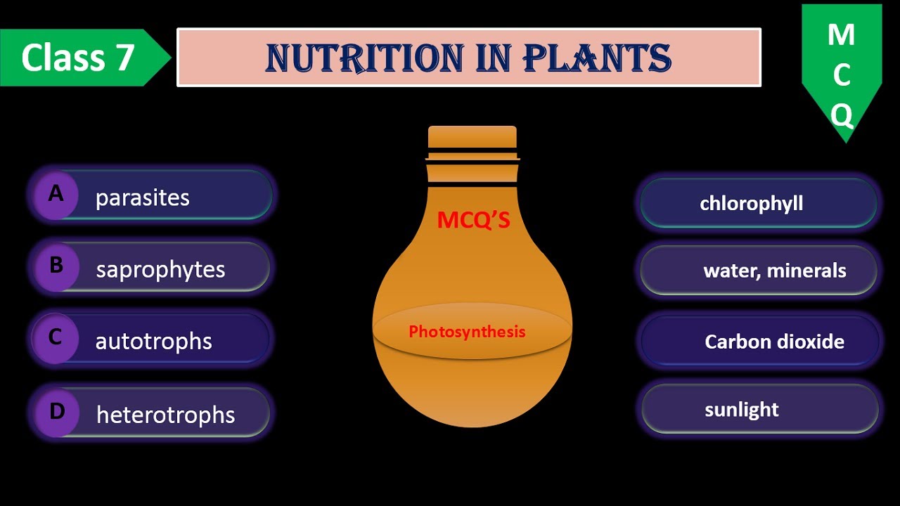 Class 7 MCQ's on Nutrition in plants I Science MCQ's for CTET, TET l ...