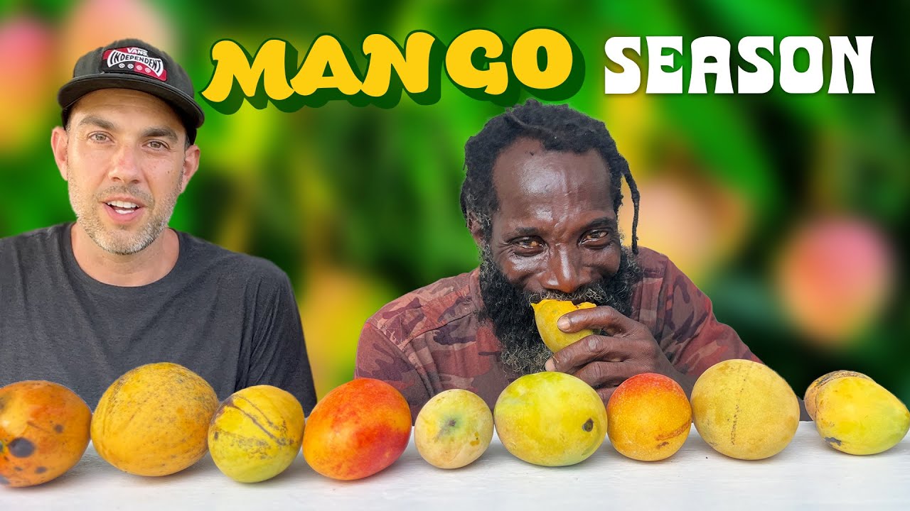 The Ultimate MANGO MISSION & Taste Test with Rasta Devon! 🥭 - YouTube