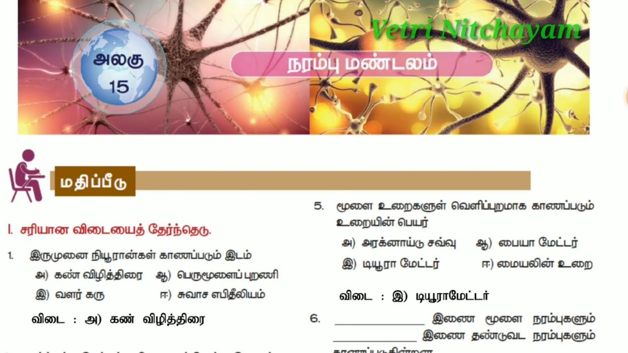 10th Science Book Back Question Answers Lesson 15 16 YouTube 10th-science-book-back-question-answers-lesson-15-16-youtube