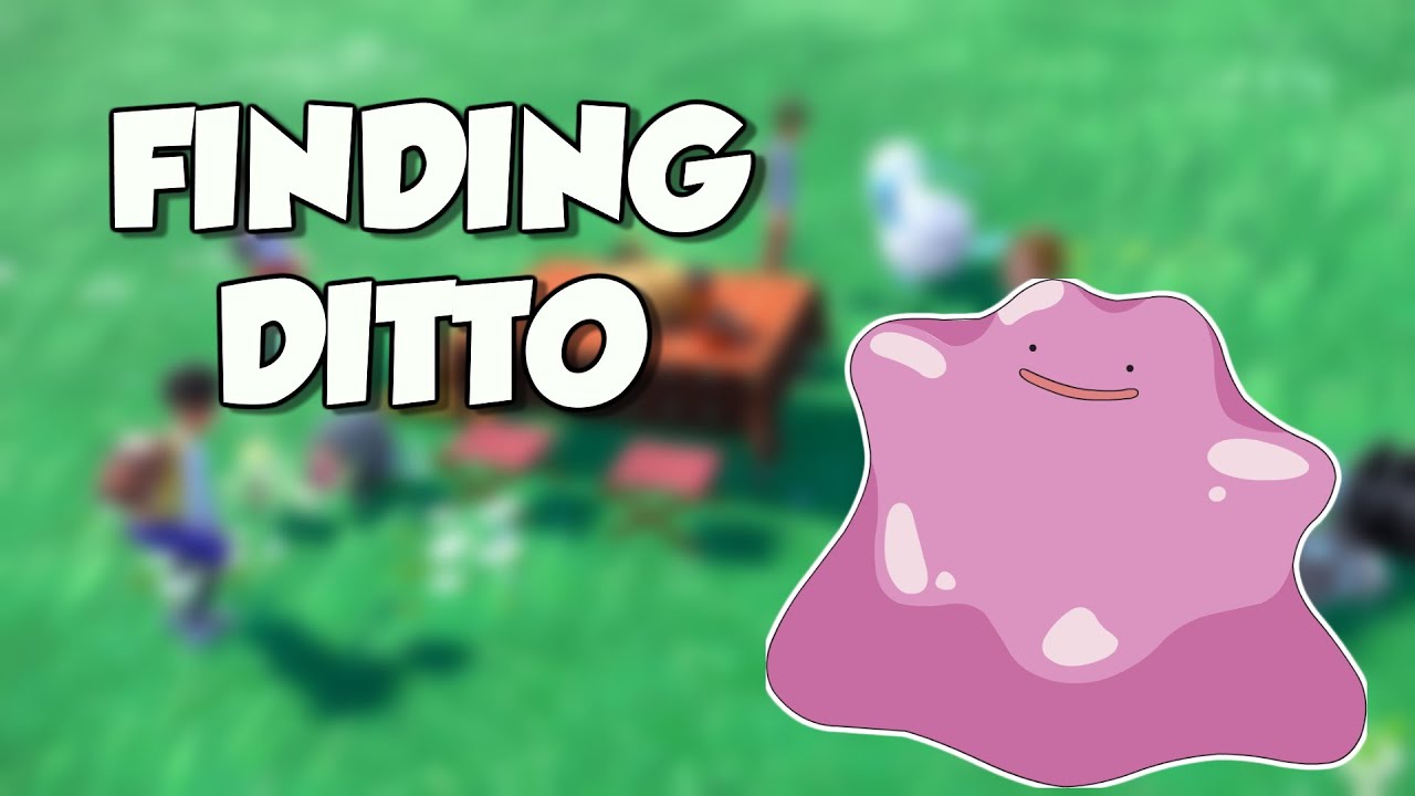 How to find Ditto in Pokemon! - YouTube