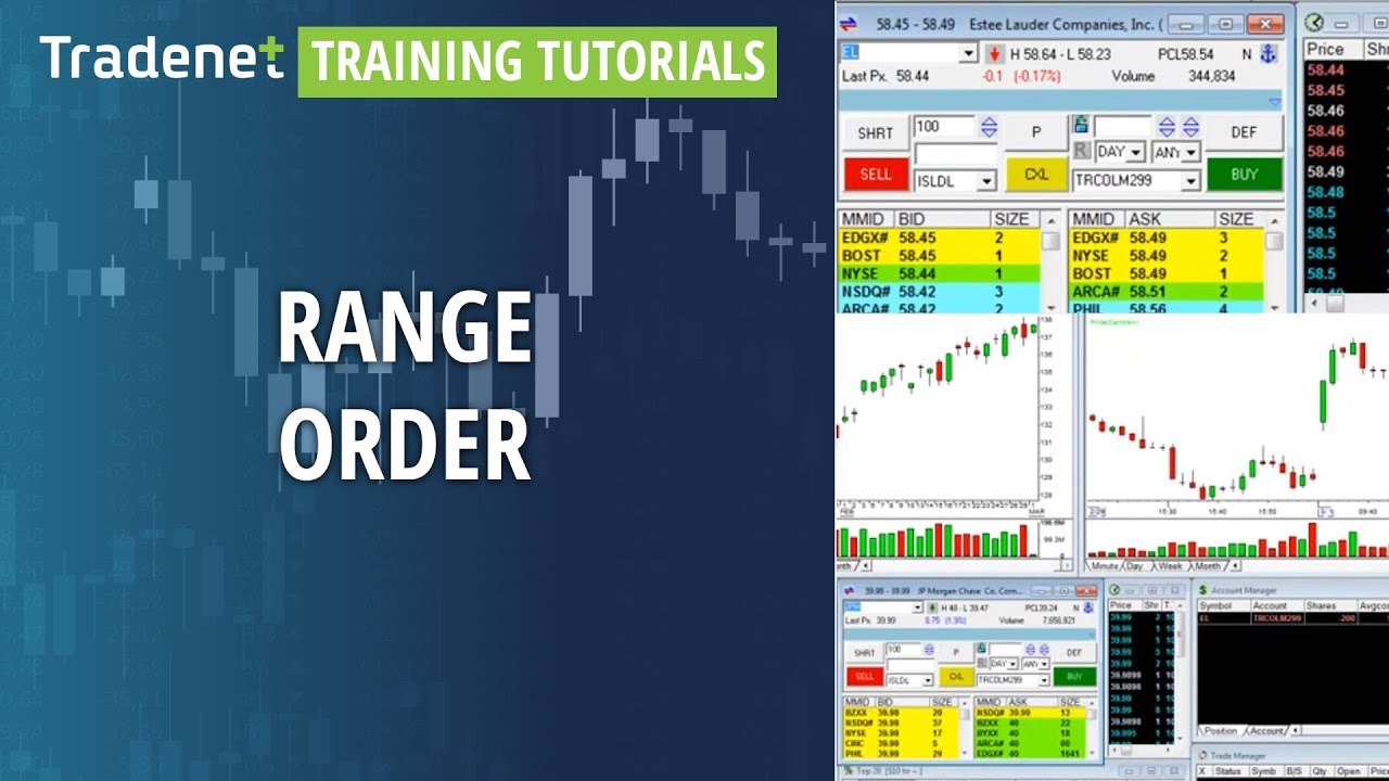 Tradenet training tutorials for the TEFS platform - Range order - YouTube