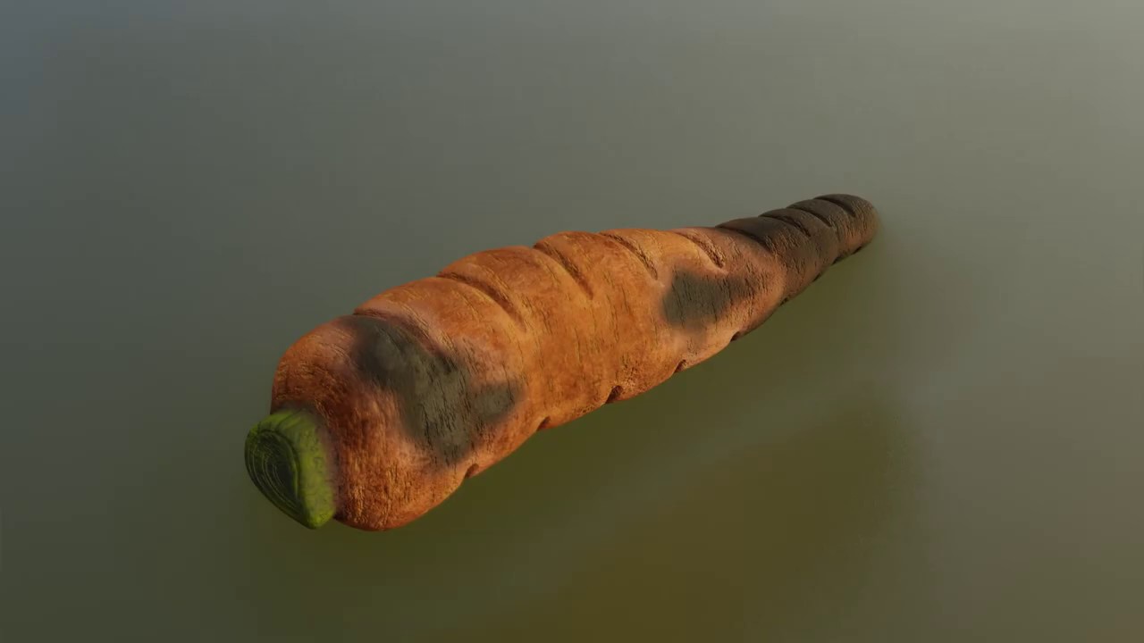 Rotting Carrot - YouTube