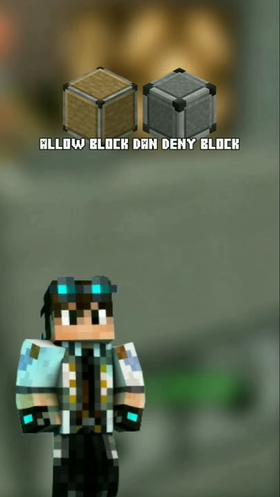 FAKTA MENARIK TENTANG ALLOW BLOCK DAN DENY BLOCK DI MINECRAFT!!? # ...