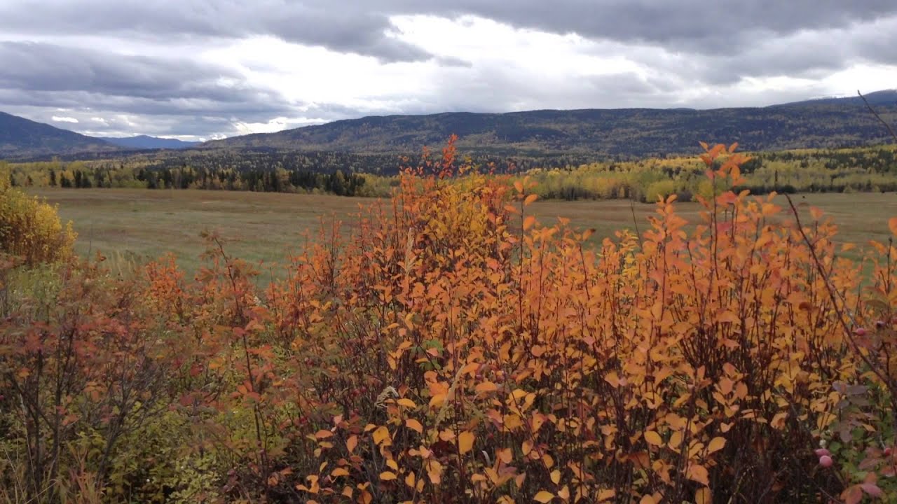 Some of the scenery around Houston, British Columbia. - YouTube