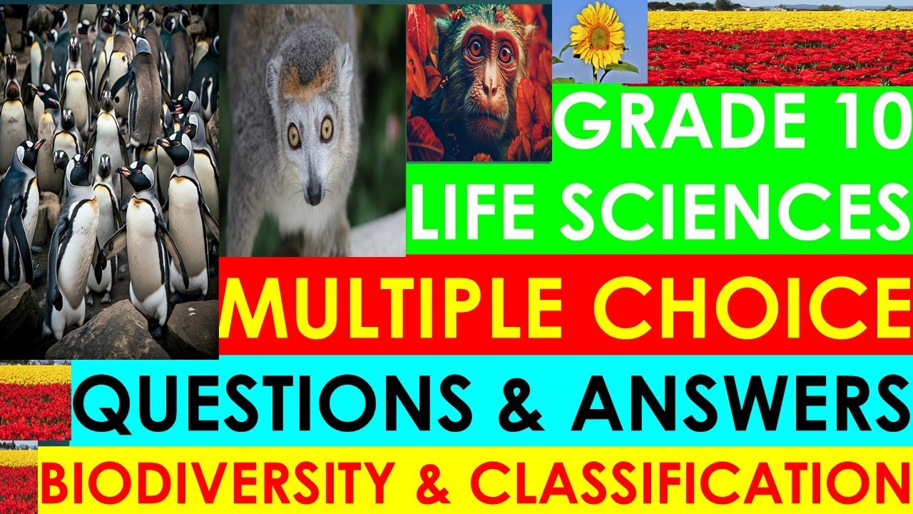 GRADE 10 LIFE SCIENCES MULTIPLE CHOICE QUESTIONS & ANSWERS BIODIVERSITY ...