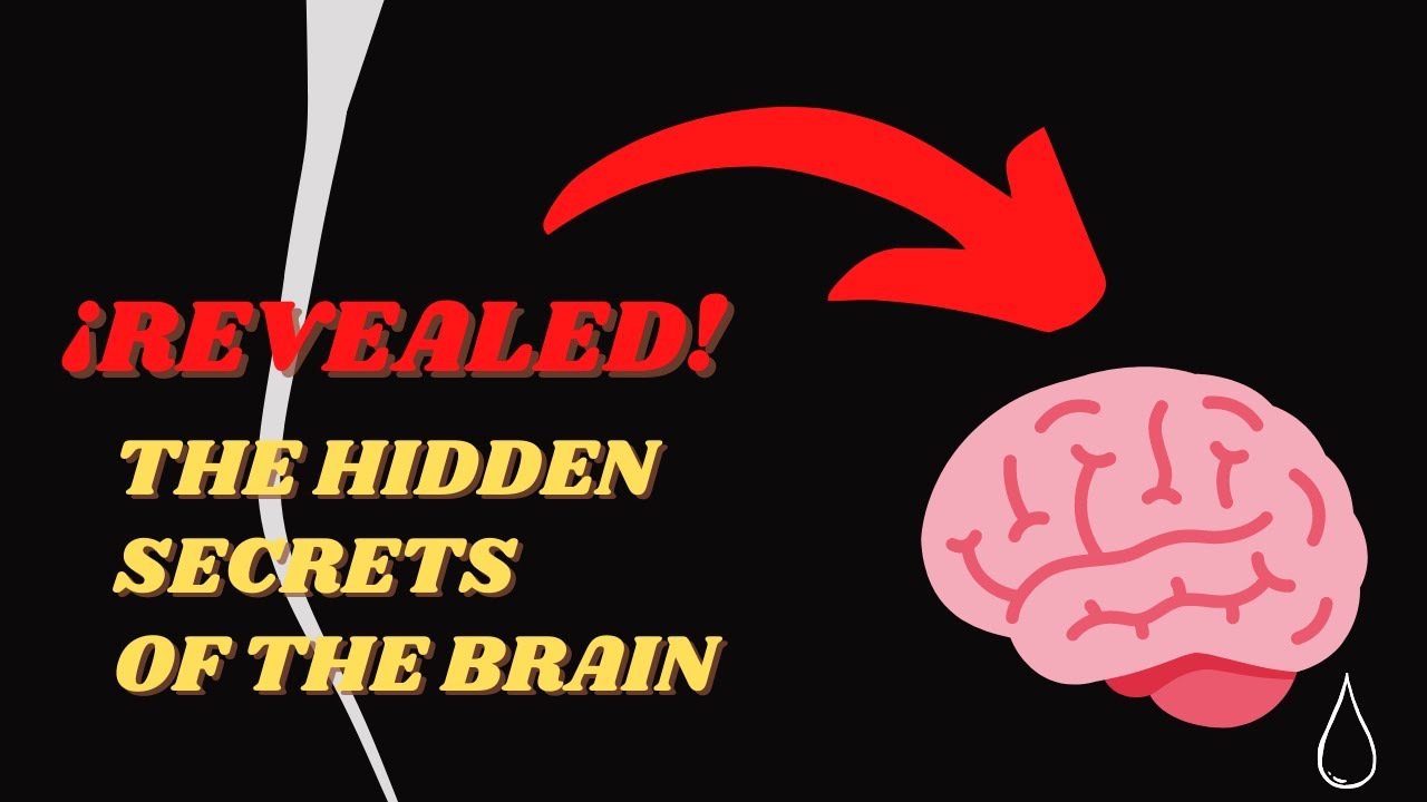 We Reveal the SECRETS of the Mind: Transform YOUR Life with Psychology ...