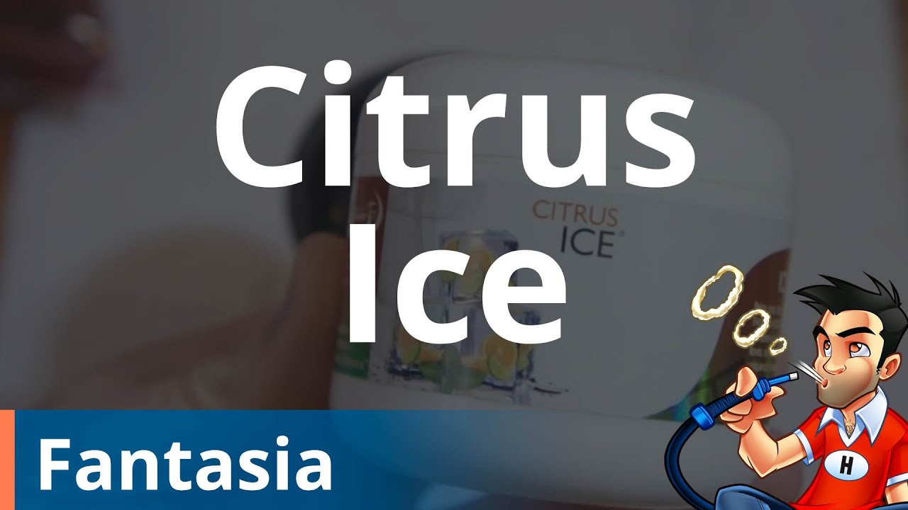 Fantasia Citrus Ice Shisha (Hookah) - Review - YouTube