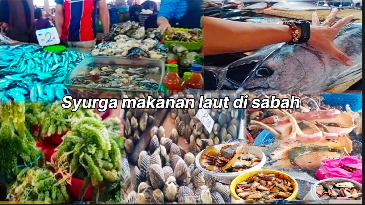 Banyak pilihan Hasil laut terdapat disini. pasar ikan lahad datu - YouTube