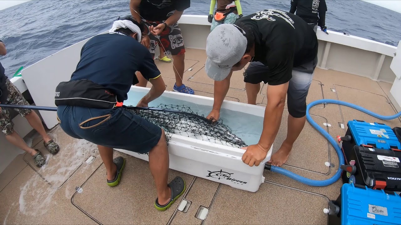 2020年6月トカラGT遠征 Giant Trevally, Fishing - YouTube