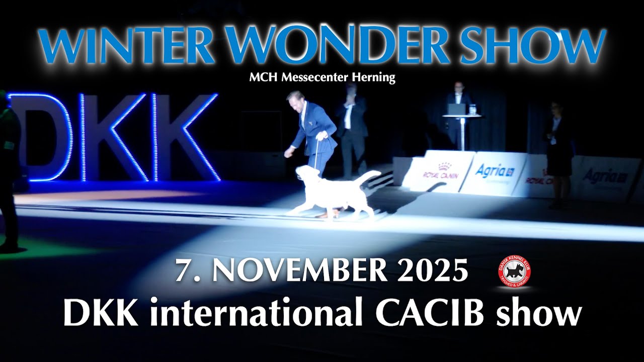 Winter Wonder Show 2025 - CACIB shows in Herning - YouTube