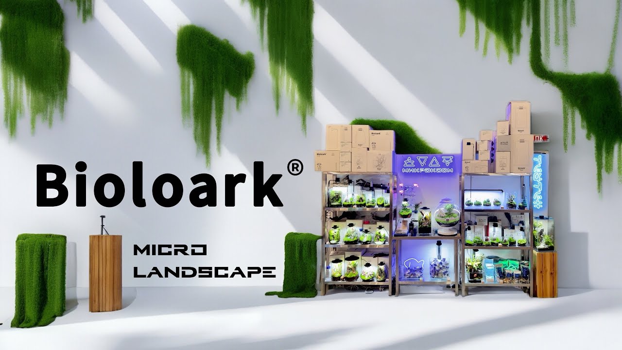 Bioloark обзор продукции, мастерской. флорариум, микро ландшафтный ...