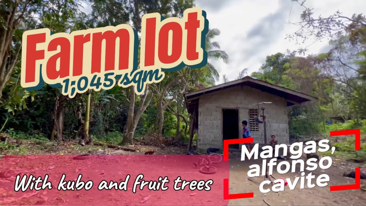 V020-23 • Mangas, Alfonso cavite Farm lot 1,045 SQM w/ Kubo & Fruit ...