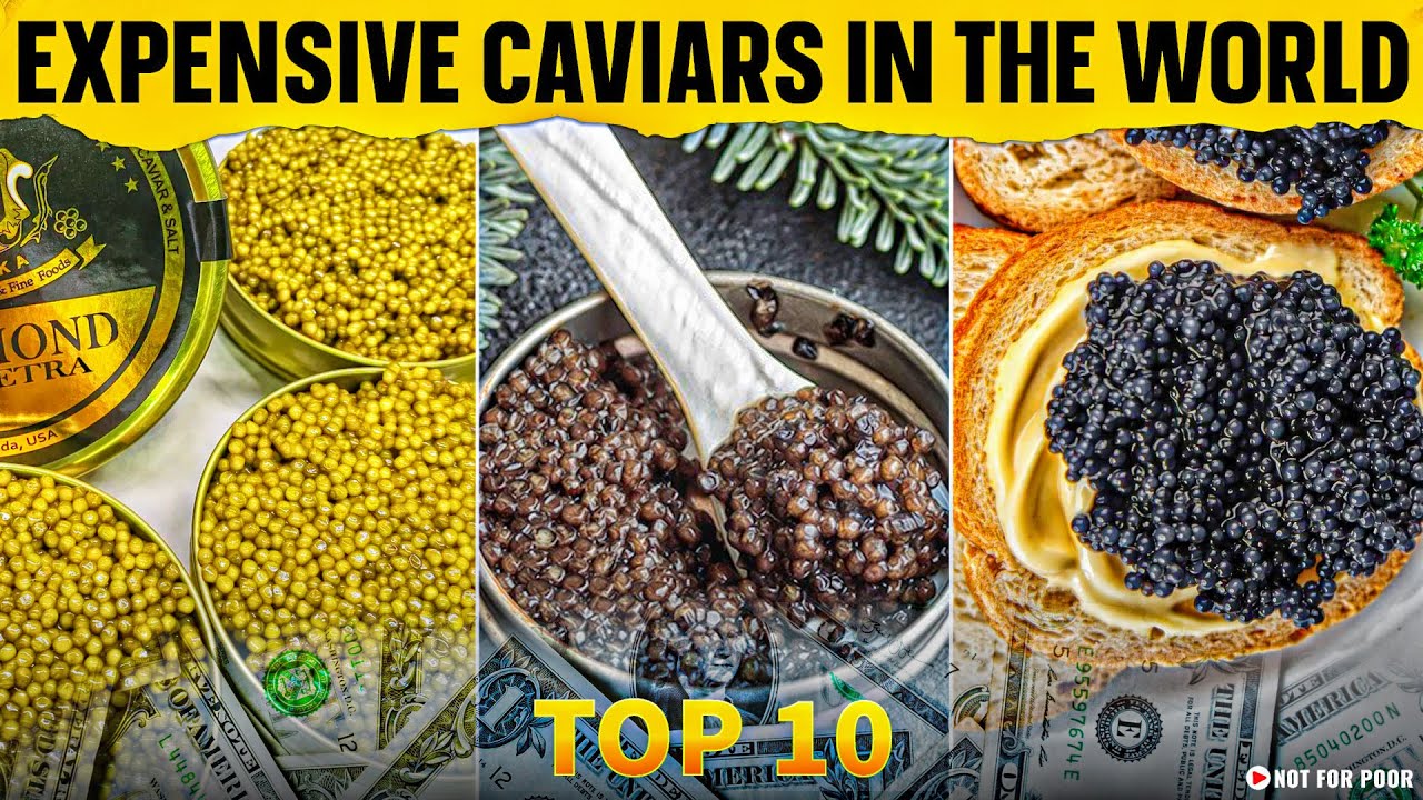 Top 10 Most Expensive Caviars in the World | Why is Caviar so Expensive ...