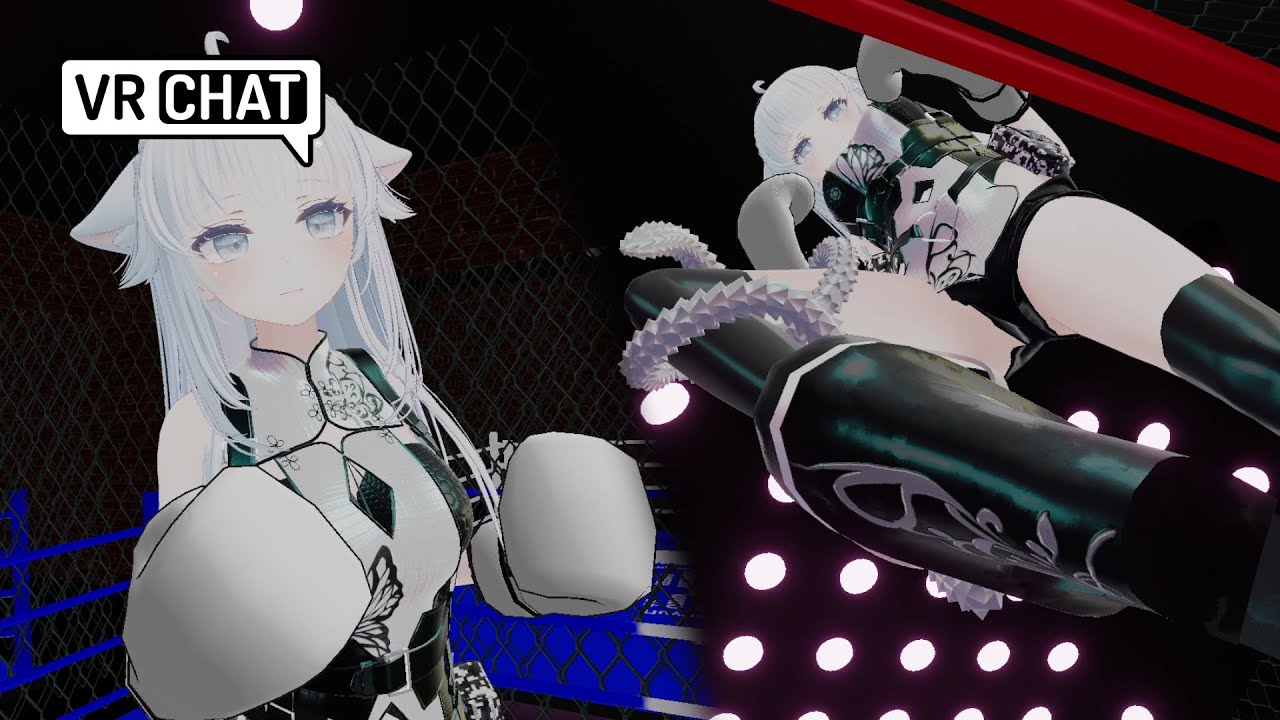 Warrior gives a heart full fight VRchat POV BOXING - YouTube