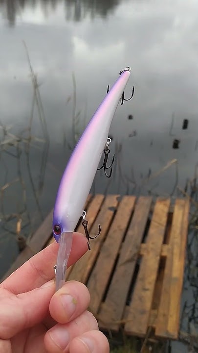 НОВИНКА. Воблер Bandit+1 от Сезона Рыбалки (Fish Season). Воблер на ...