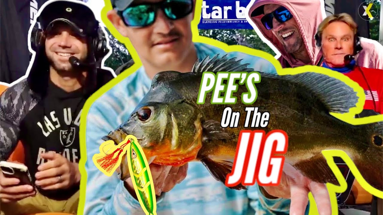 BIG PEACOCK BASS CAUGHT ON THE JIG!! Weekly Fisherman Show - YouTube