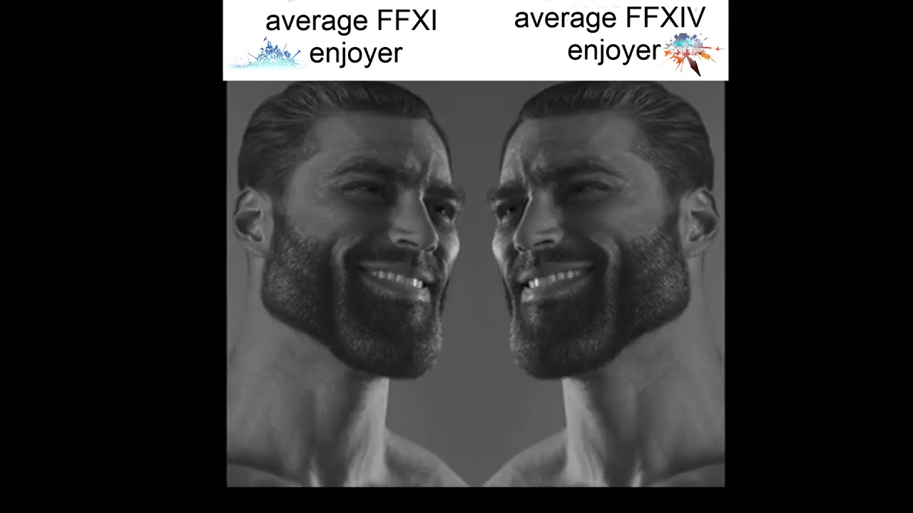 Average FFXI Enjoyer Vs Average FFXIV Enjoyer - YouTube