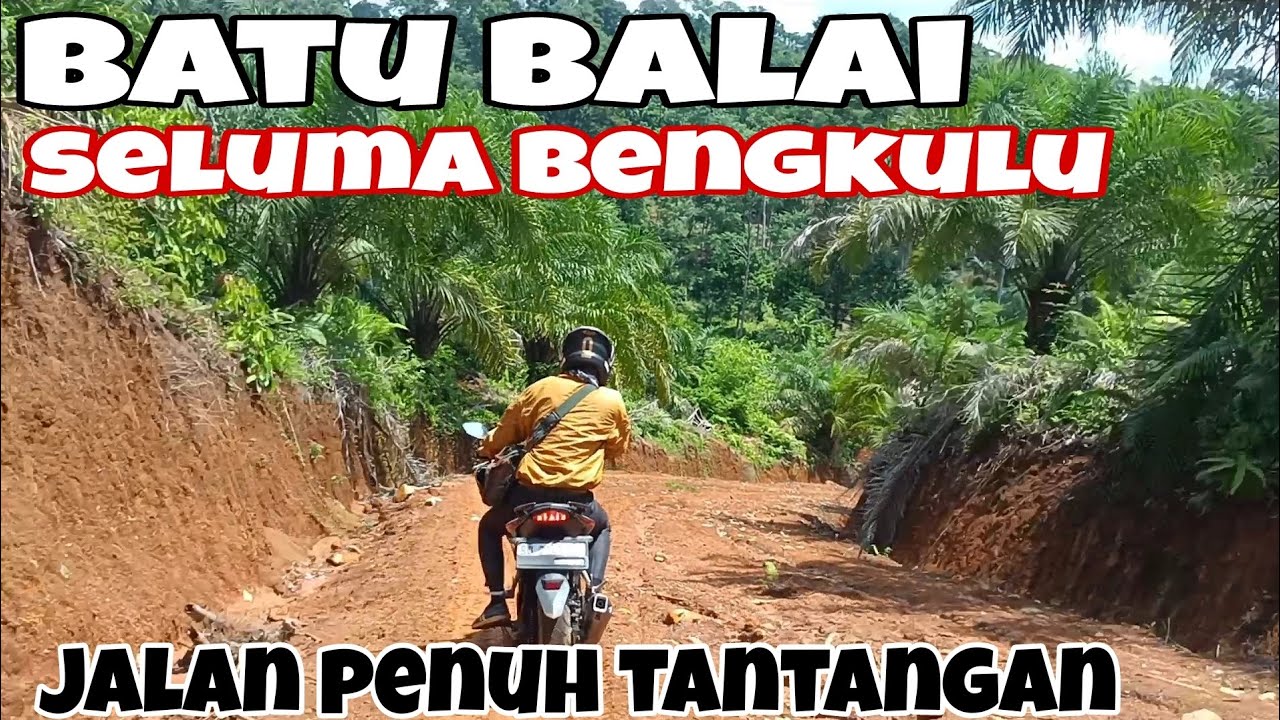 perjalanan hari ini telusuri kampung batu balai kecamatan seluma ...