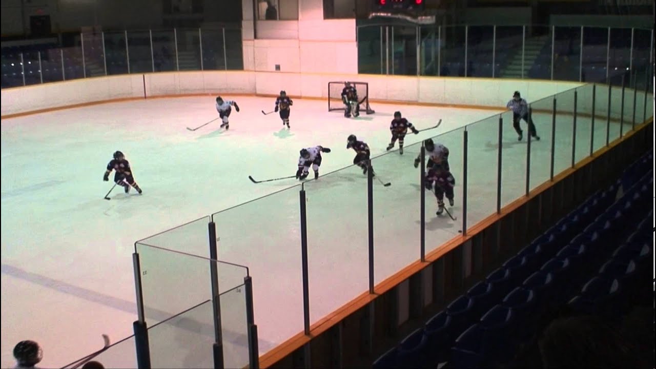 #84 Goal 20130327 Leaside Flames 2002 Atom 'A' Team 2012-2013 Season ...