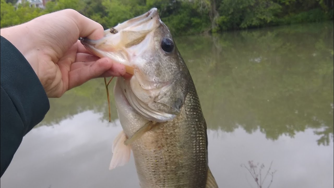 Bass fishing 2020 (nice fish caught!?!) - YouTube