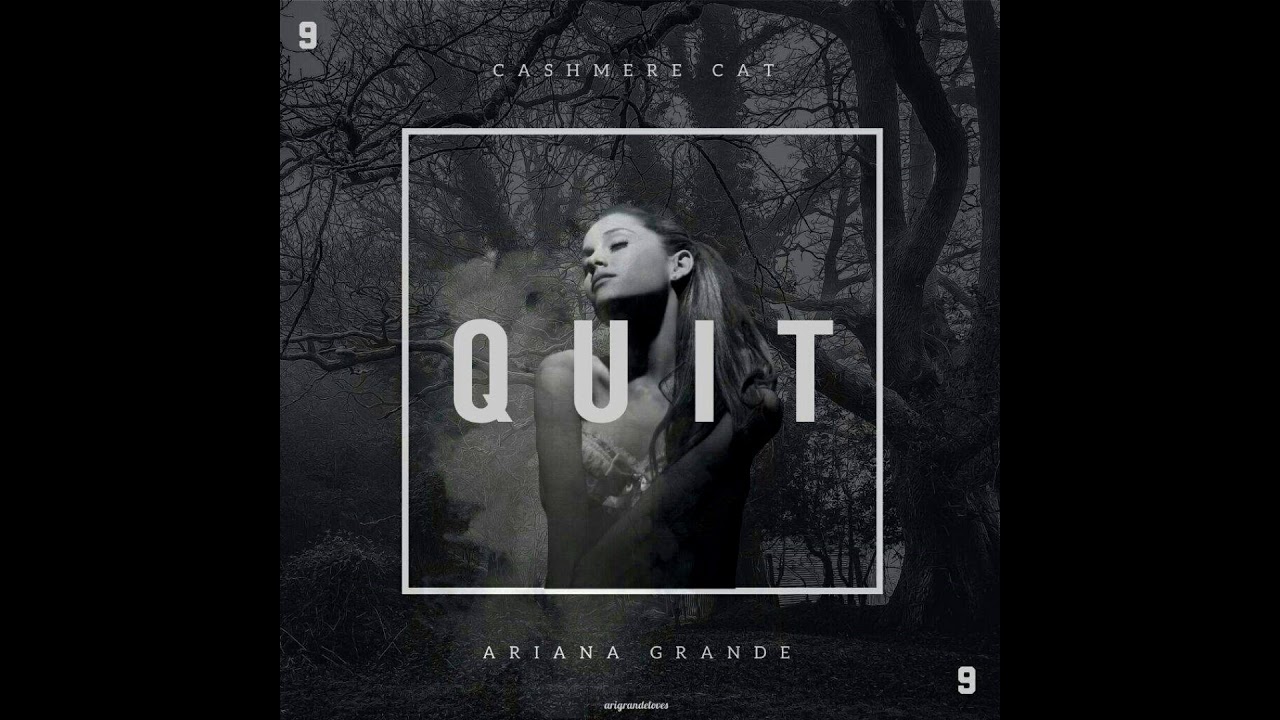 Ariana Grande Cashmere Cat Quit