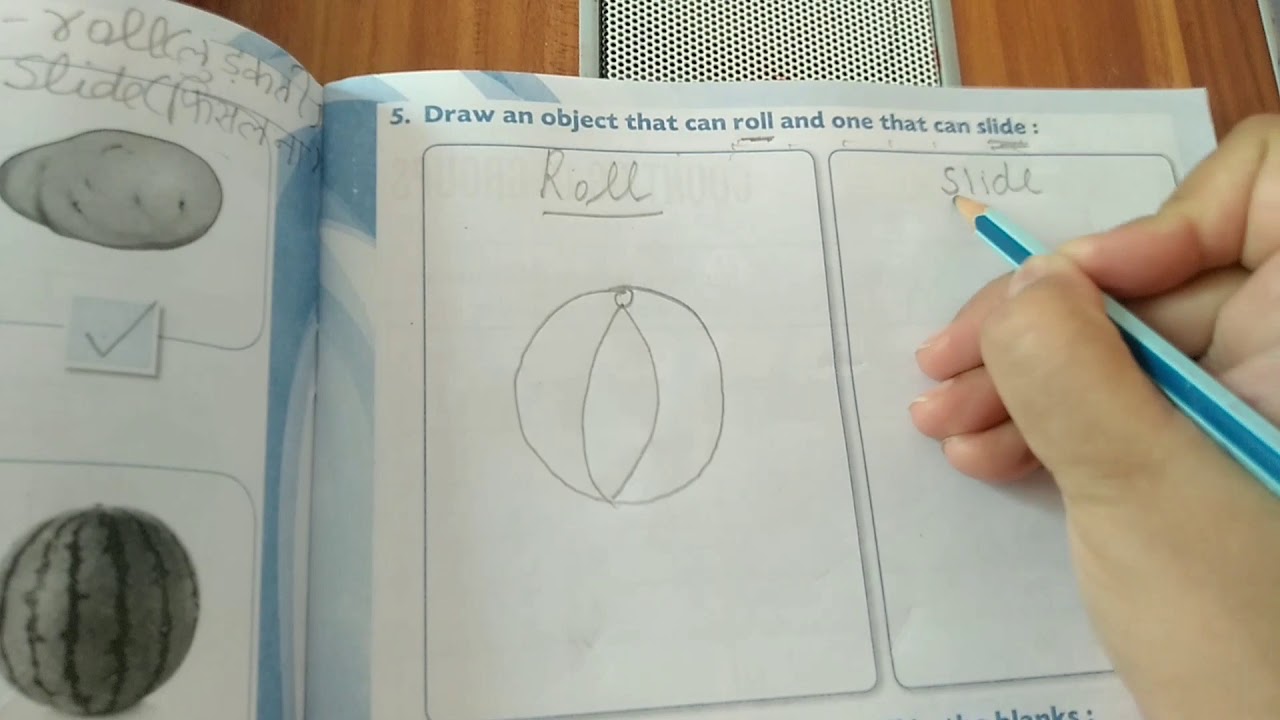 ncert-class-2-maths-chapter-1-what-is-long-what-is-round-exercise