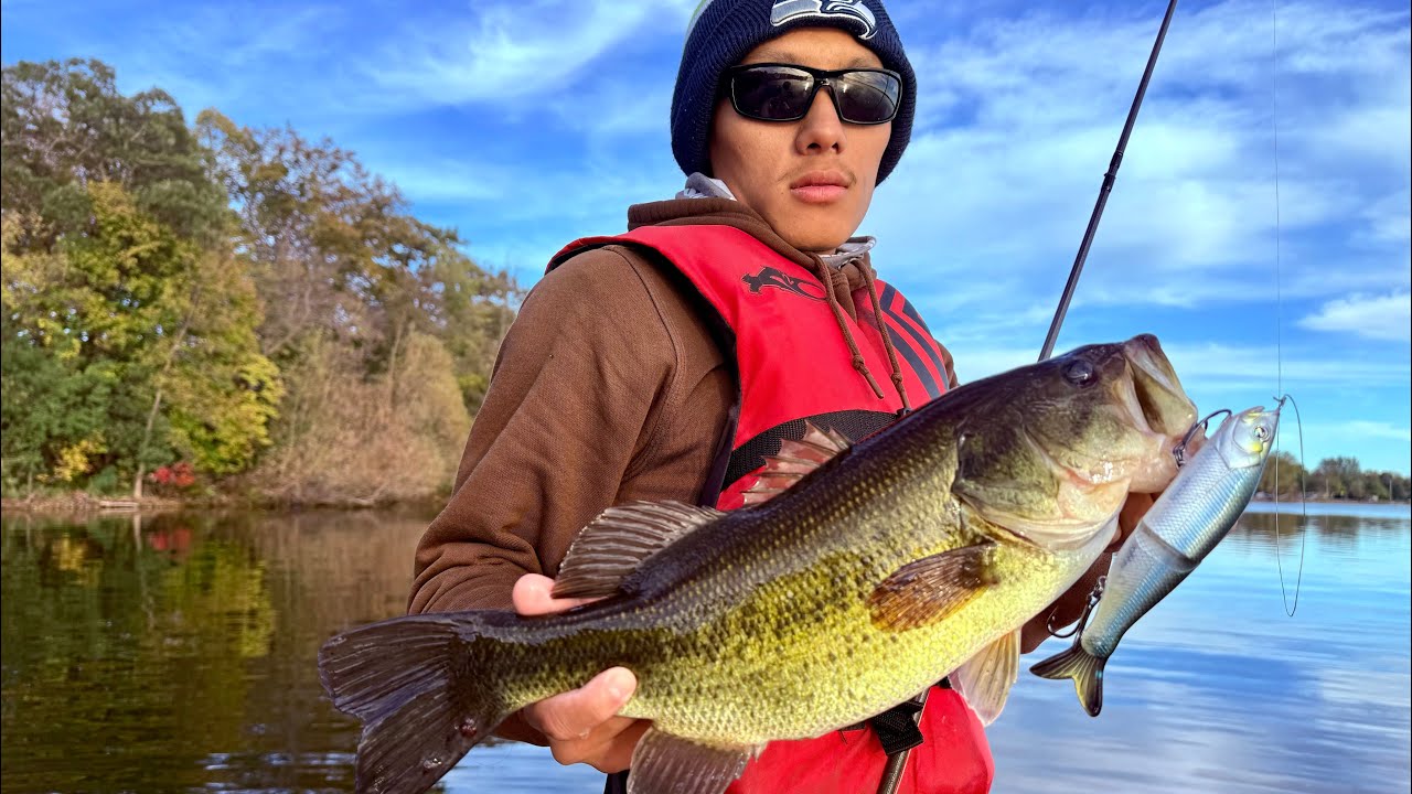 Fall Bass Fishing. - Minnesota Lakes - YouTube