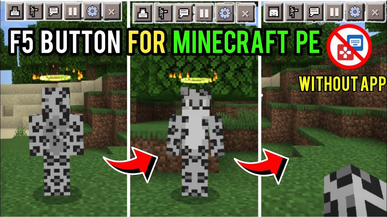 F5 Button Addon For Minecraft Pe F5 Button For Minecraft PE|F5 Button ...
