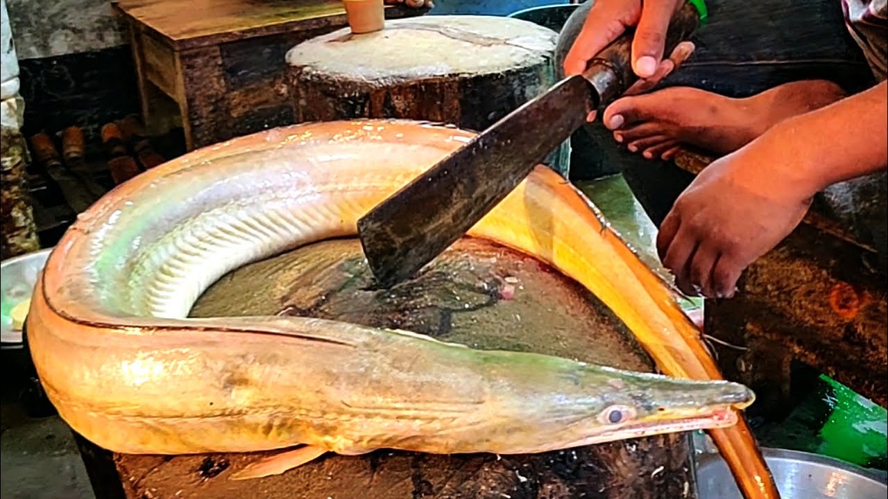 Unseen!! Huge Vaam Eel Fish Cutting Skills Live In Farmers