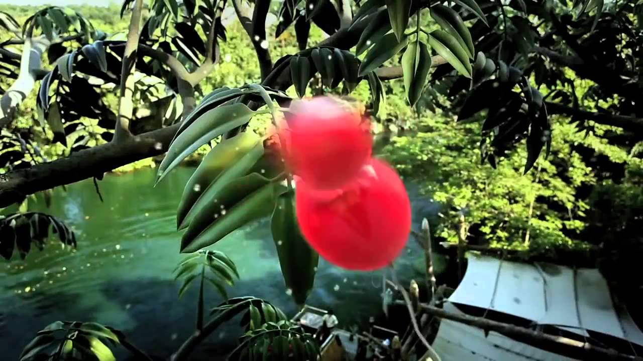 Hong Kong Disneyland Adventureland TV Commercial Advertisement Reclame ...