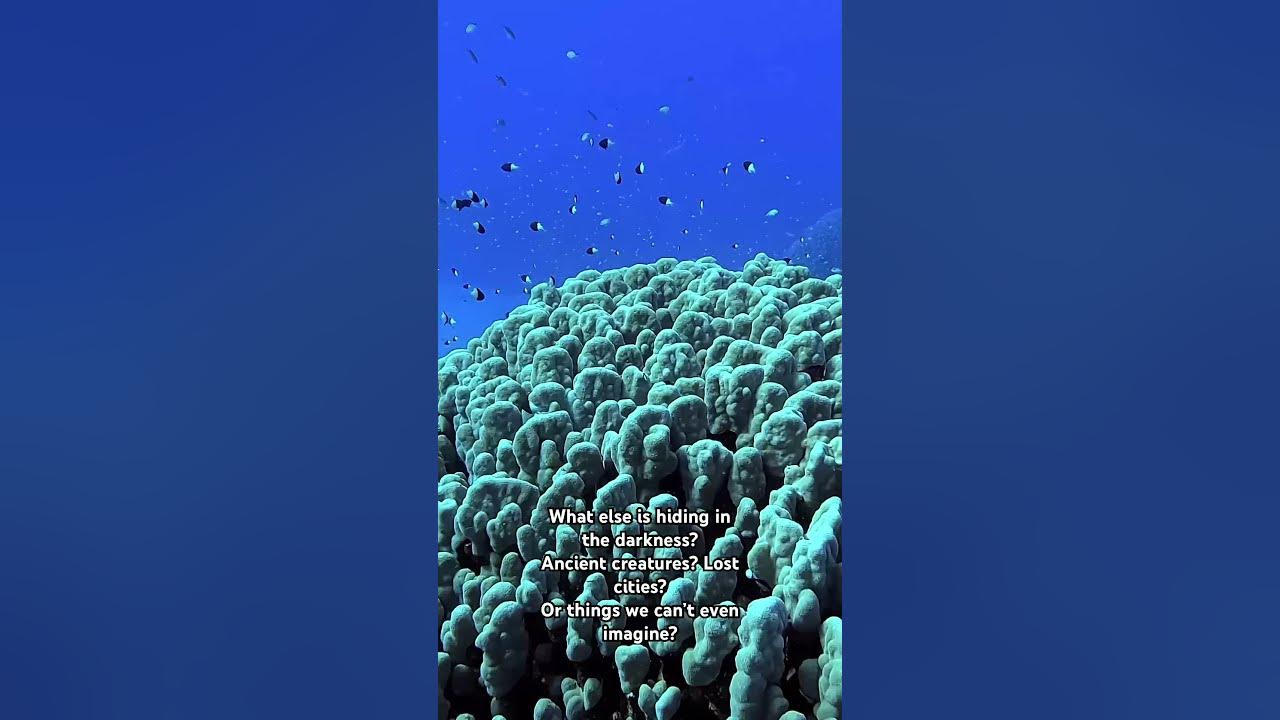 What’s Lurking in the Deep Ocean? #deepocean #marinemysteries #thebloop #what - YouTube