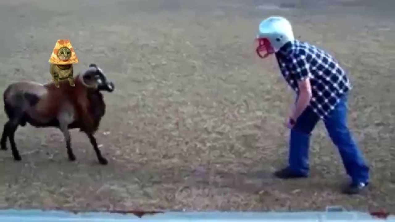 MAN VS RAM AND THE PIZZACAT (squad) pizzacattv - YouTube