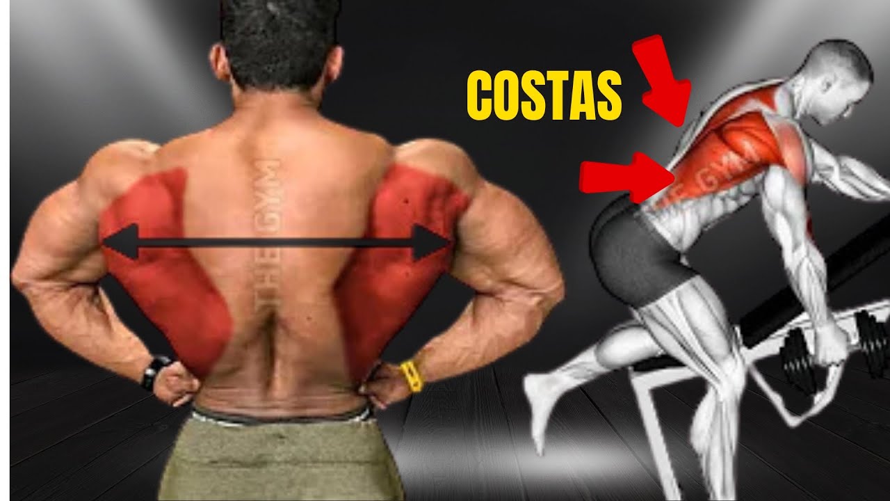 5 etapas para obter costas RASGADAS - YouTube