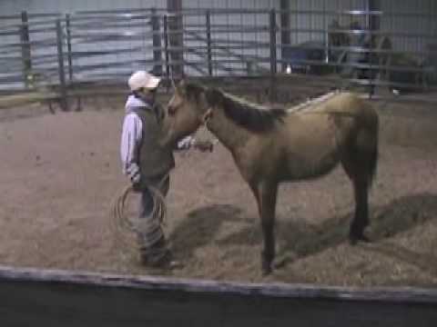 Training Kickapoo Kid - YouTube
