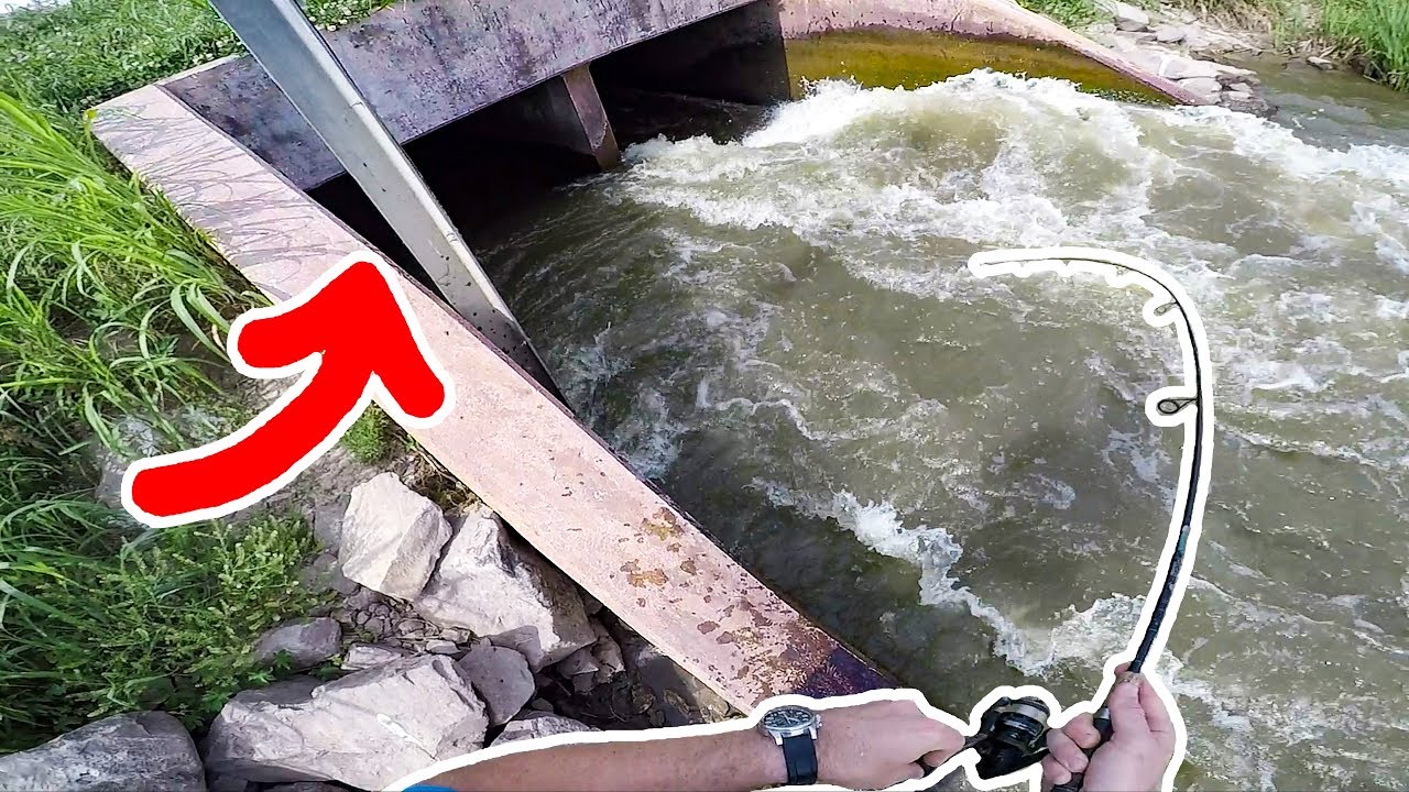 BIG MYSTERY Fish Lives Inside SPILLWAY TUNNEL!!! - YouTube