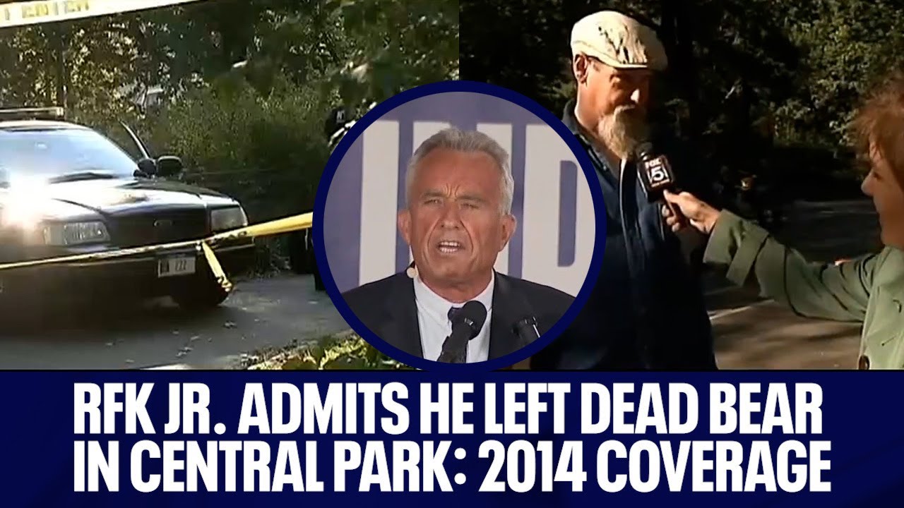 RJK Jr. dead bear confession: 2014 coverage of Central Park mystery ...