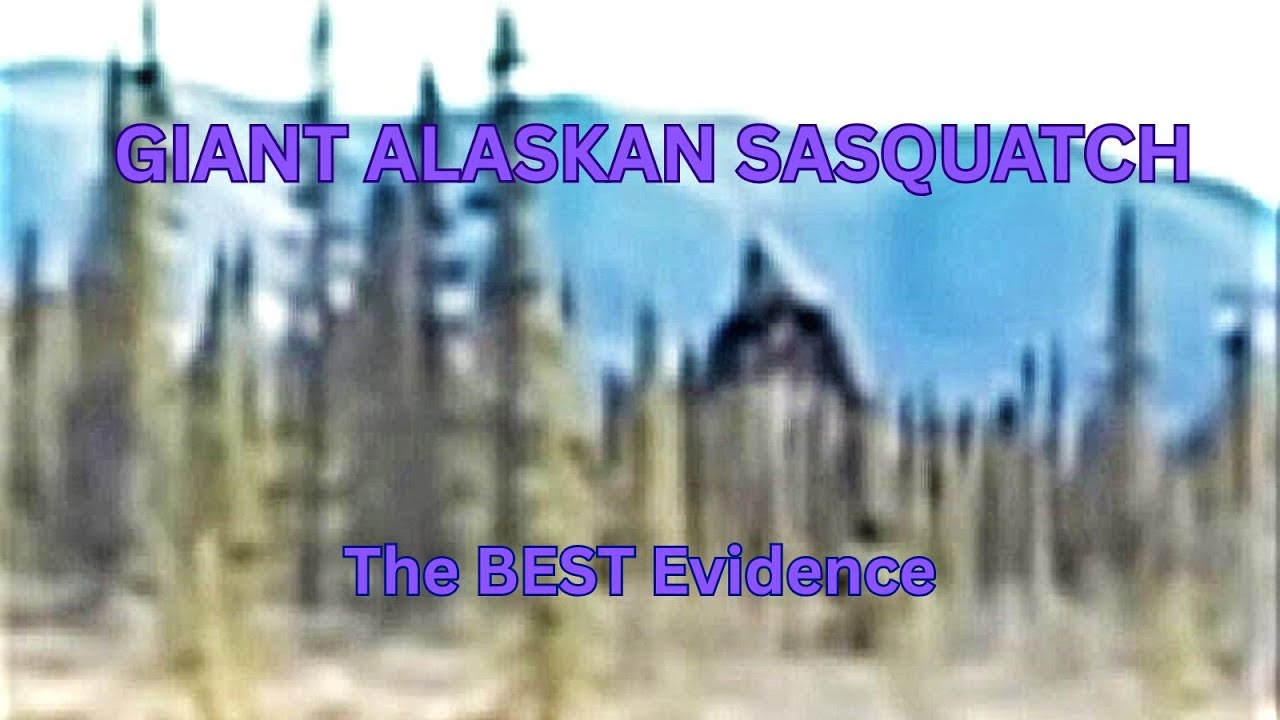 GIANT ALASKAN SASQUATCH ~ The BEST Evidence! / ScottHack, Daniel Becker ...