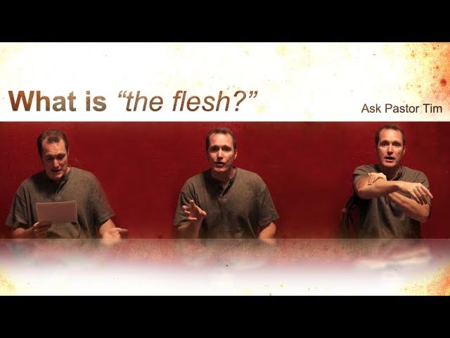 Man Flesh Memes