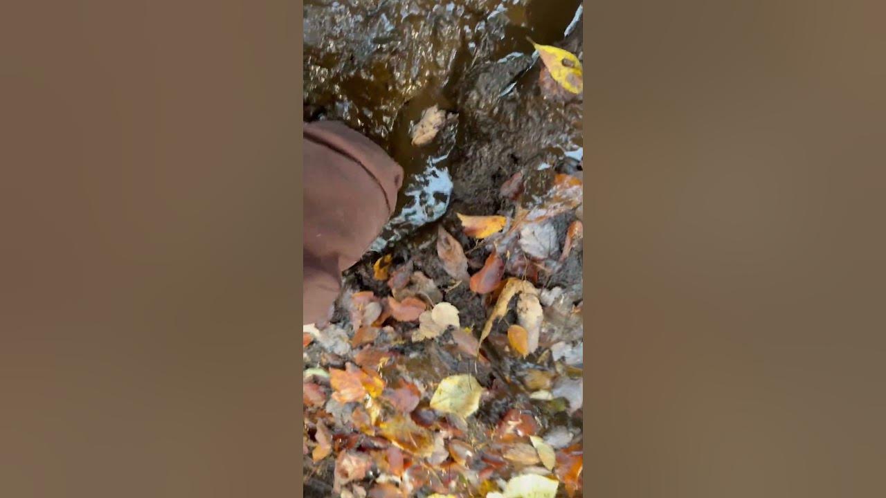 Boots in mud teaser - YouTube