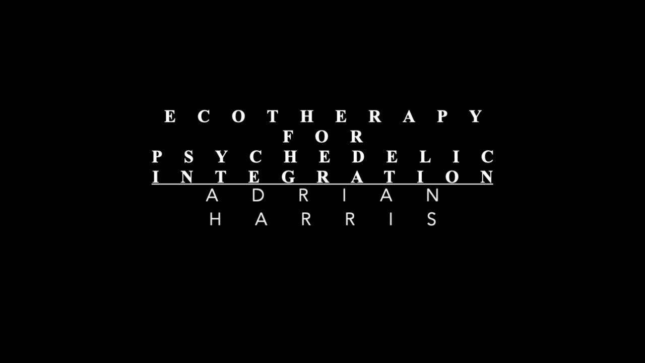 Dr Adrian Harris – Ecotherapy for Psychedelic Integration - YouTube