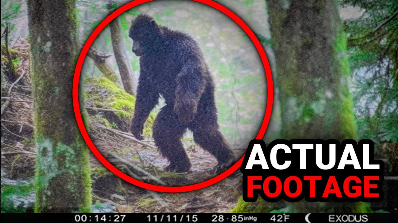 Most Disturbing Trail Cam Footage (2023) - YouTube