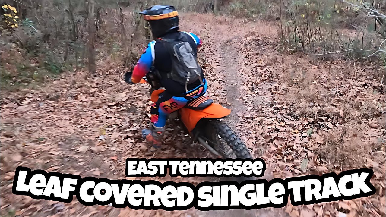 Autumn trail rides on leaf covered single track! - YouTube