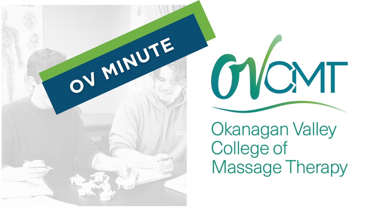 OV Minute - Student Study Tips from Real OV Students! - YouTube