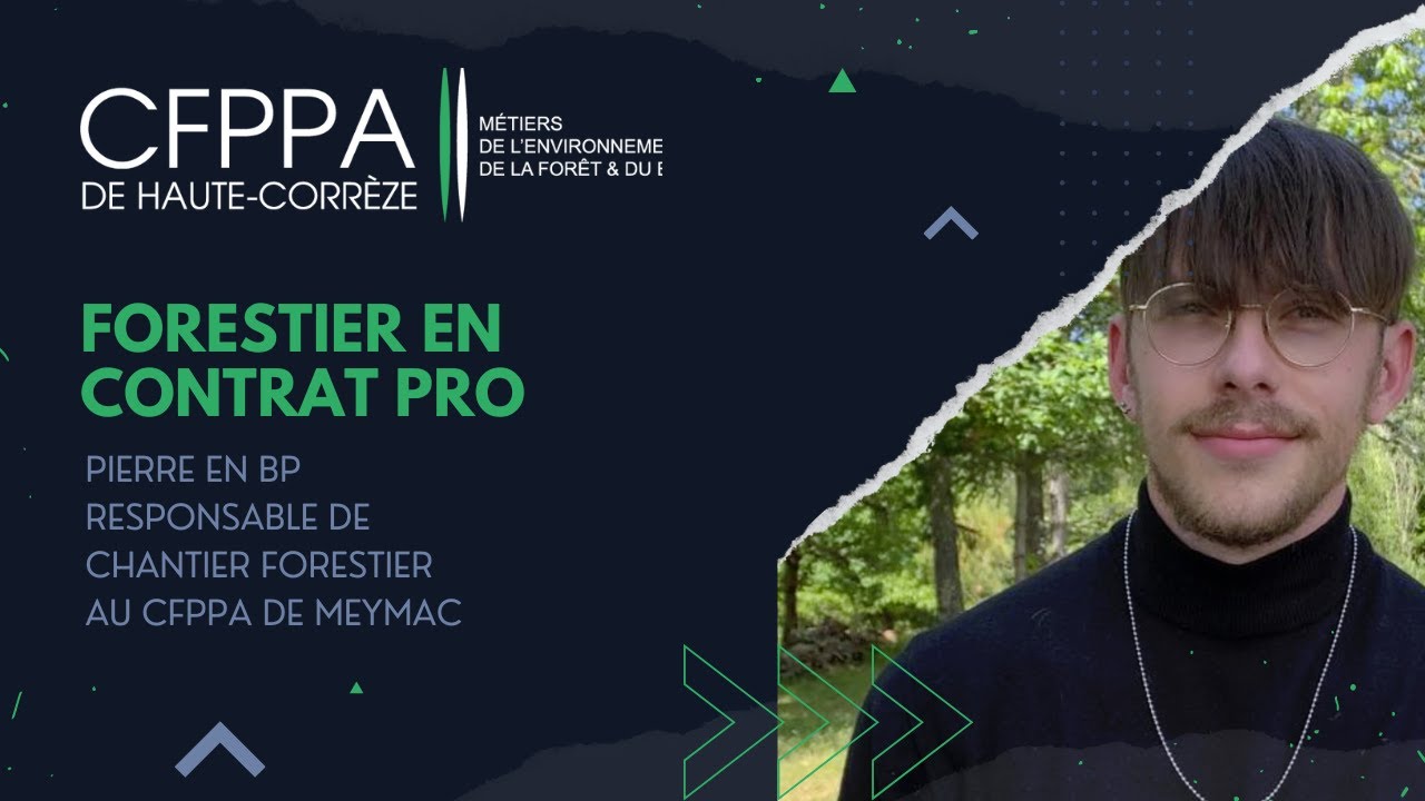 Témoignage de Pierre, forestier en contrat pro - YouTube