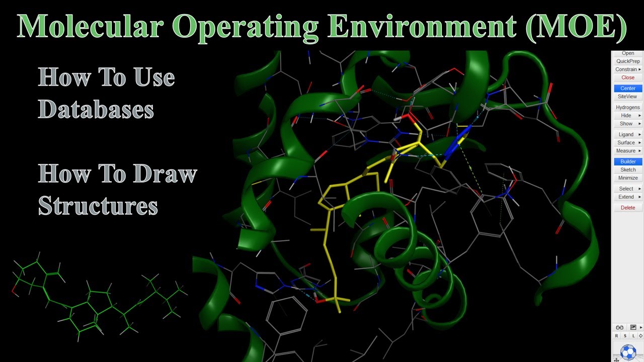 Using Databases And Drawing Structures In MOE | MOE Tutorial - YouTube