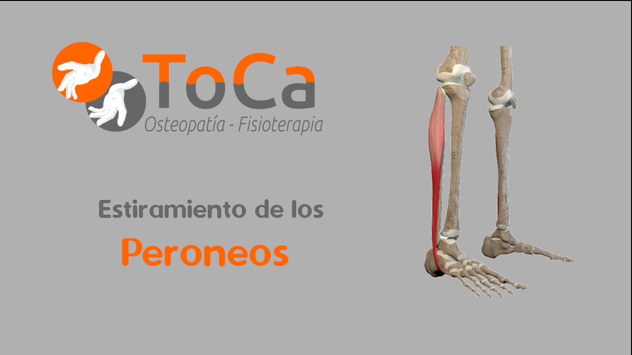 🦵Estiramiento para la MUSCULATURA PERONEA - YouTube